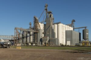 Rice Processing Steps - What Are They? | Make Food Stay