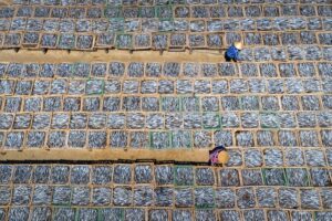 Sun Drying Method Of Food Preservation: A Step-By-Step Guide | Make ...